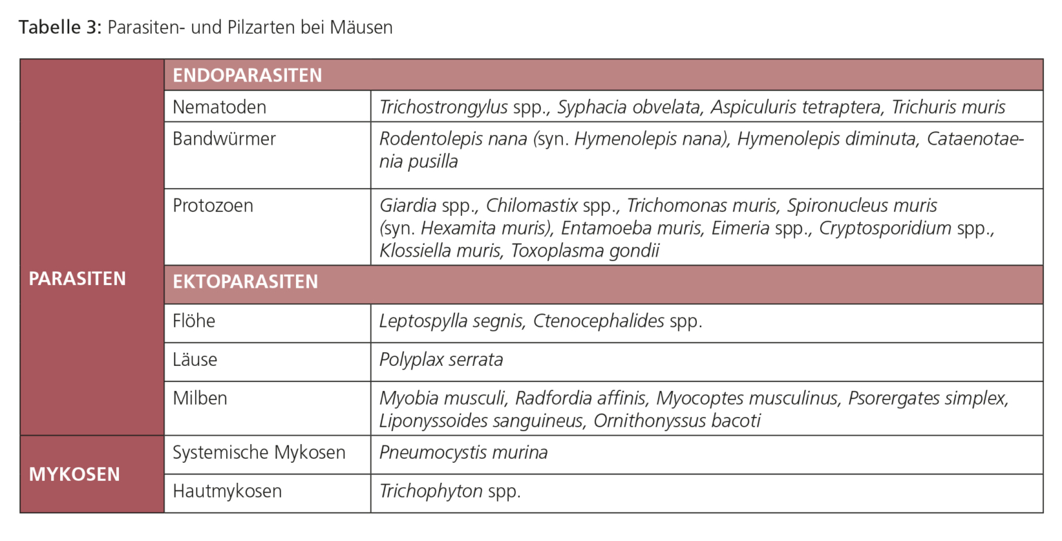 Heimtiere-Empfehlung Parasiten & Mykosen | ESCCAP DEUTSCHLAND